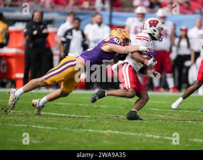 LSU linebacker Whit Weeks (40) reacts after defeating Clemson during an ...