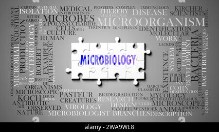 Microbiology word cloud concept Stock Photo - Alamy