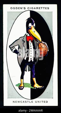 The Magpies - Vintage Cigarette Card Illustration Stock Photo - Alamy