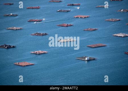 Aerial view of the mussels aquaculture rafts in Galicia - Spain Stock ...