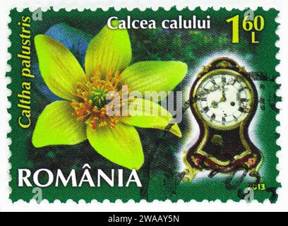 ROMANIA - CIRCA 2013: a stamp printed in Romania shows common chicory ...