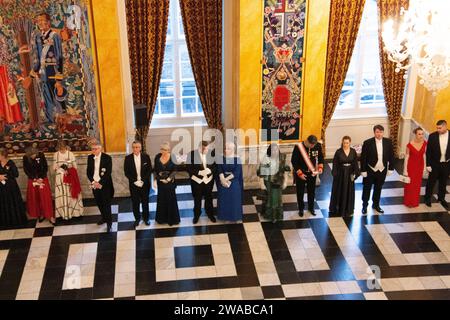 The diplomatic corps at the New Year s levee for diplomacy at ...