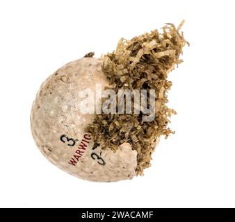 Split golf ball Stock Photo - Alamy