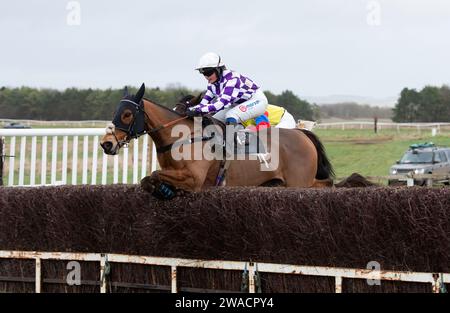 Viroflay and jockey Miss Olive Nicholls win at Larkhill Racecourse ...