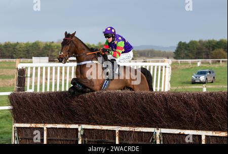 Gasmani and jockey James King win at Larkhill Racecourse, Wiltshire, UK ...