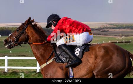 Horizon dAinay and jockey Toby McCain-Mitchell win the Alec Jarrett ...