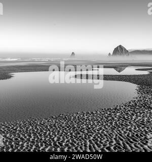 USA, Oregon, Shallow pools of water at sandy Cannon Beach Stock Photo ...
