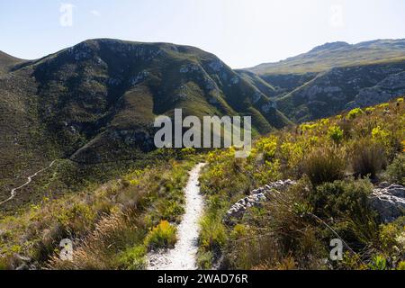 South Africa, Hermanus, Hiking trail in Fernkloof Nature Reserve Stock ...