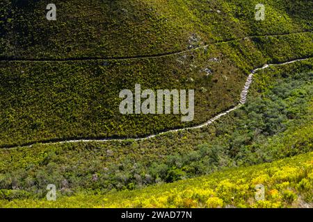 South Africa, Hermanus, Hiking trails in mountains in Fernkloof Nature ...
