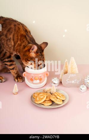 Cat stealing Santa's cookies and milk Stock Photo - Alamy
