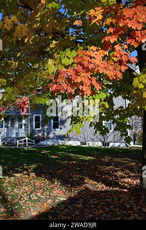 Wheaton, Illinois, USA. Fall is on display around a suburban Chicago ...