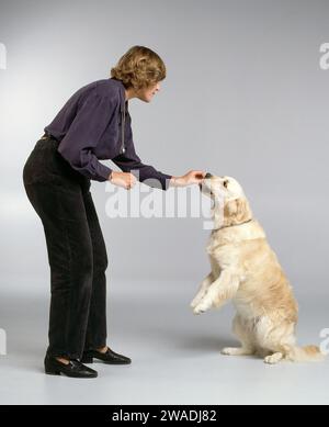 LARGE DOG BEING REWARDED WITH DOG TREAT Stock Photo - Alamy