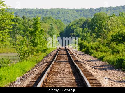 The Little Brokenstraw Creek Wetlands in Warren County, Pennsylvania ...