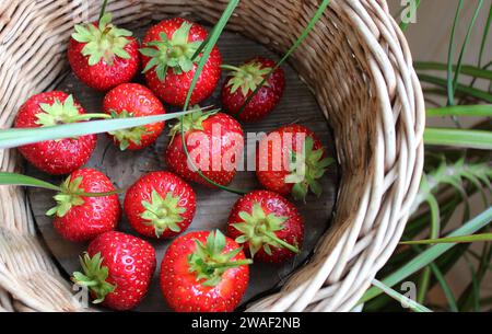 Strawberries inside a basket Stock Photo - Alamy