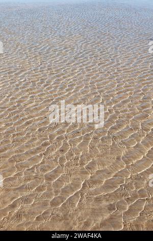 sand ripples on the beach hayle cornwall Stock Photo - Alamy