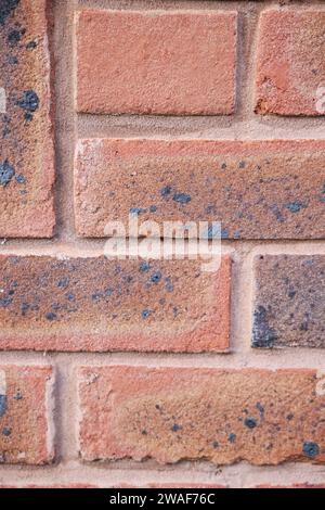 Bricks, brick wall, thought to be Michelmersh Facing Brick Freshfield ...