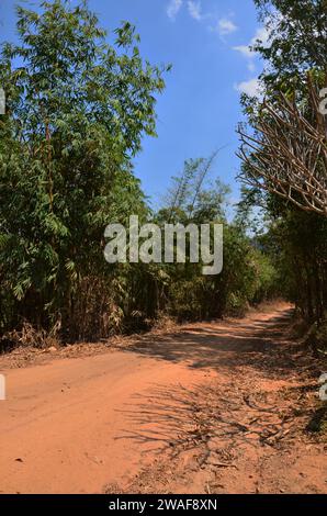 Non asphalt Lateritic road or laterite rouge soils red earth street on ...