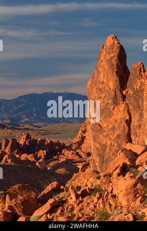 Red rocks along Fire Wave Trail, Valley of Fire State Park, Nevada ...