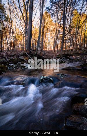 Stokes State Forest in Sussex County, NJ, Flatbrook runs along the Blue ...