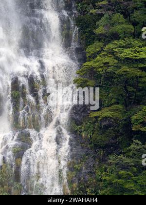 Waterfall and trees in Dusky sound Fiordland National Park, New Zealand ...