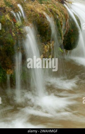 Doeskin Branch Creek, Doeskin Ranch Unit-Balcones Canyonlands National ...