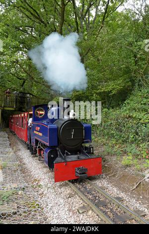 Steam locomotive Lydia with a passenger train at the Perrygrove narrow ...