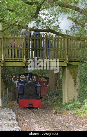 Steam locomotive Lydia with a passenger train at the Perrygrove narrow ...