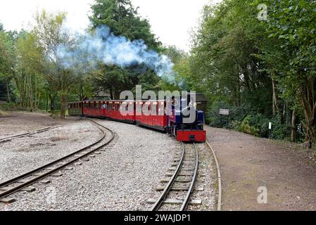 Steam locomotive Lydia with a passenger train at the Perrygrove narrow ...