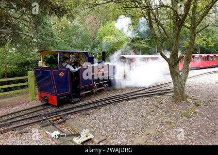 Steam locomotive Lydia with a passenger train at the Perrygrove narrow ...