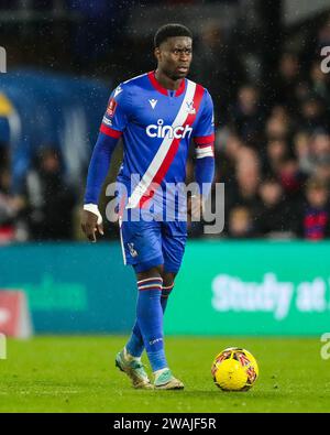Crystal Palace's Will Hughes in action during the Premier League match ...