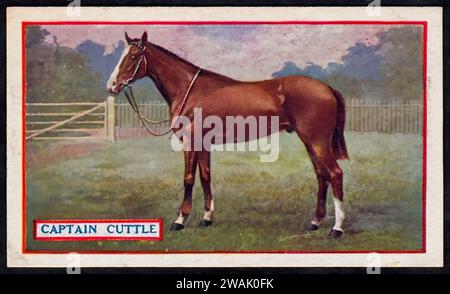 Captain Cuttle - Vintage Cigarette Card Illustration Stock Photo - Alamy