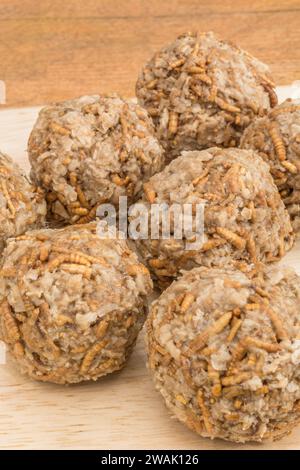 Bug meat burgers & meatballs made with Mealworms / Tenebrio molitor ...