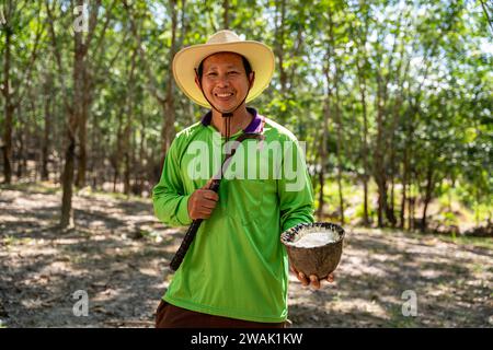 Happy asian rubber farmers stand holding cups of latex in a rubber tree ...