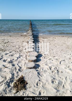 A groyne is a dam built in front of the sea, usually at right angles to ...