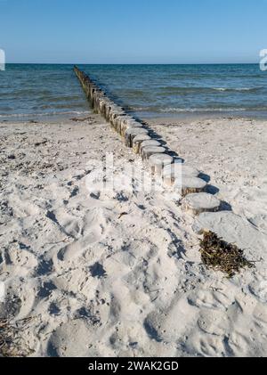 A groyne is a dam built in front of the sea, usually at right angles to ...