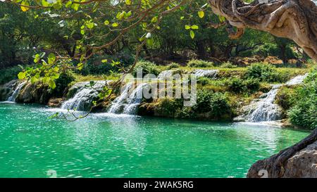 mini Waterfalls at Wadi Darbat in the Dhofar region of Oman Stock Photo ...