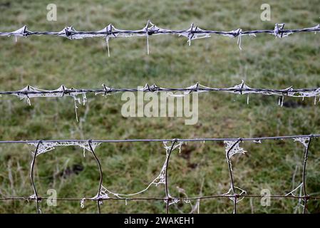 Frosted cobwebs on a wire fence on a foggy day Stock Photo - Alamy