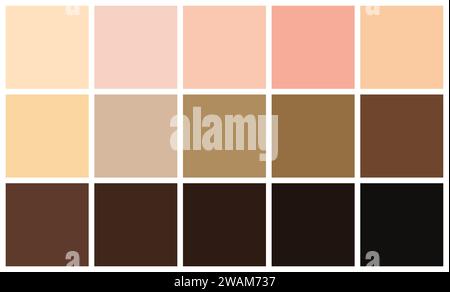 Set Of Skin Tones Color Palette Catalog Sample Isolated In Groups For ...