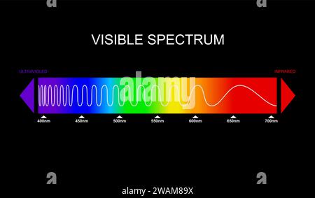 Spectrum, visible light diagram. Portion of the electromagnetic ...