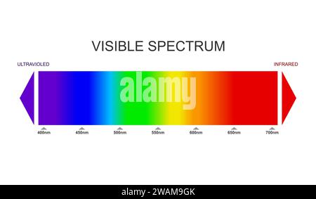 Science Electromagnetic Spectrum diagram illustration Stock Vector ...