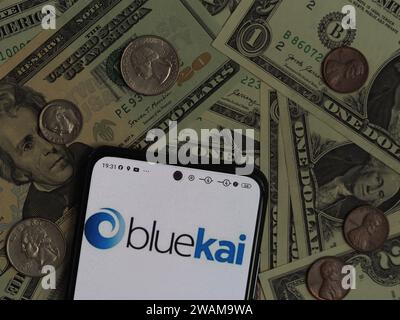 In this photo illustration a BlueKai logo seen displayed on a ...