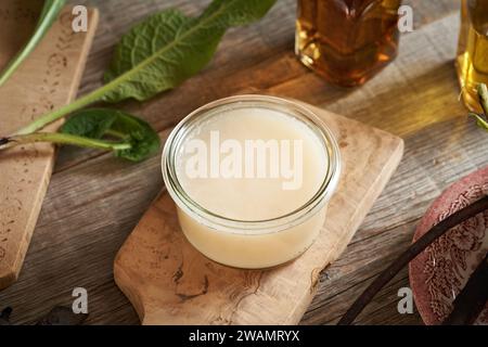 Comfrey ointment made of fresh Symphytum root and rendered pork lard ...