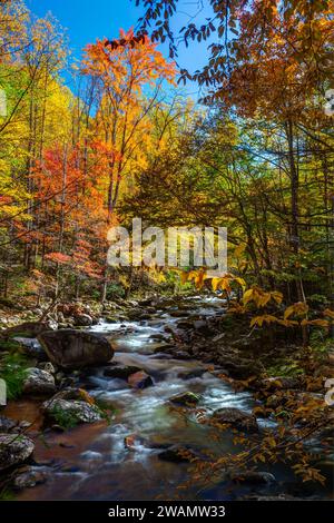 Autumn, Tremont, Great Smoky Mountains National Park, TN Stock Photo ...