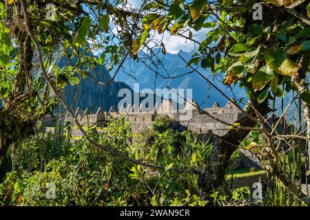 Because of its location on the edge of the Andes and the Amazon ...