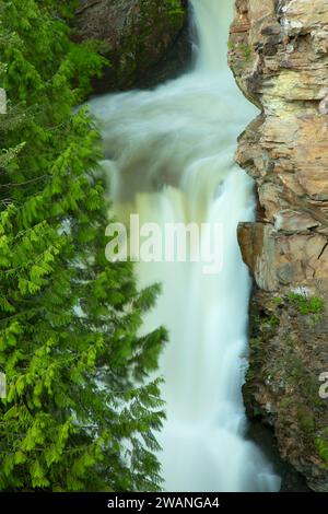 Myrtle Creek Falls, Kaniksu National Forest, Idaho Stock Photo - Alamy