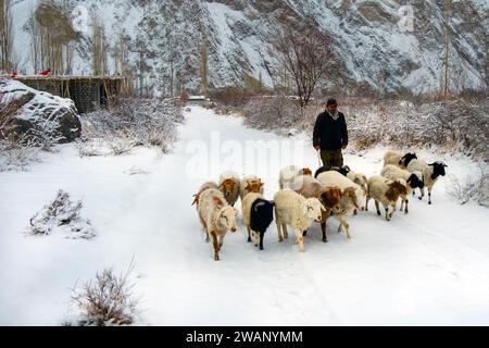 shepherds in the snow mountains in hunza valley , pakistan Stock Photo ...