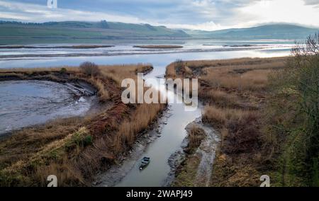 Aerial view of the reedbeds on the northern shore of the River Tay ...
