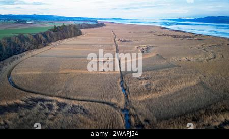 Aerial view of the reedbeds on the northern shore of the River Tay ...