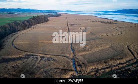 Aerial view of the reedbeds on the northern shore of the River Tay ...