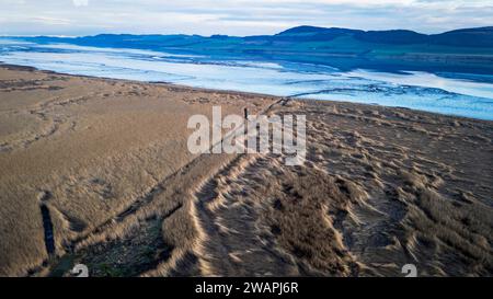 Aerial view of the reedbeds on the northern shore of the River Tay ...